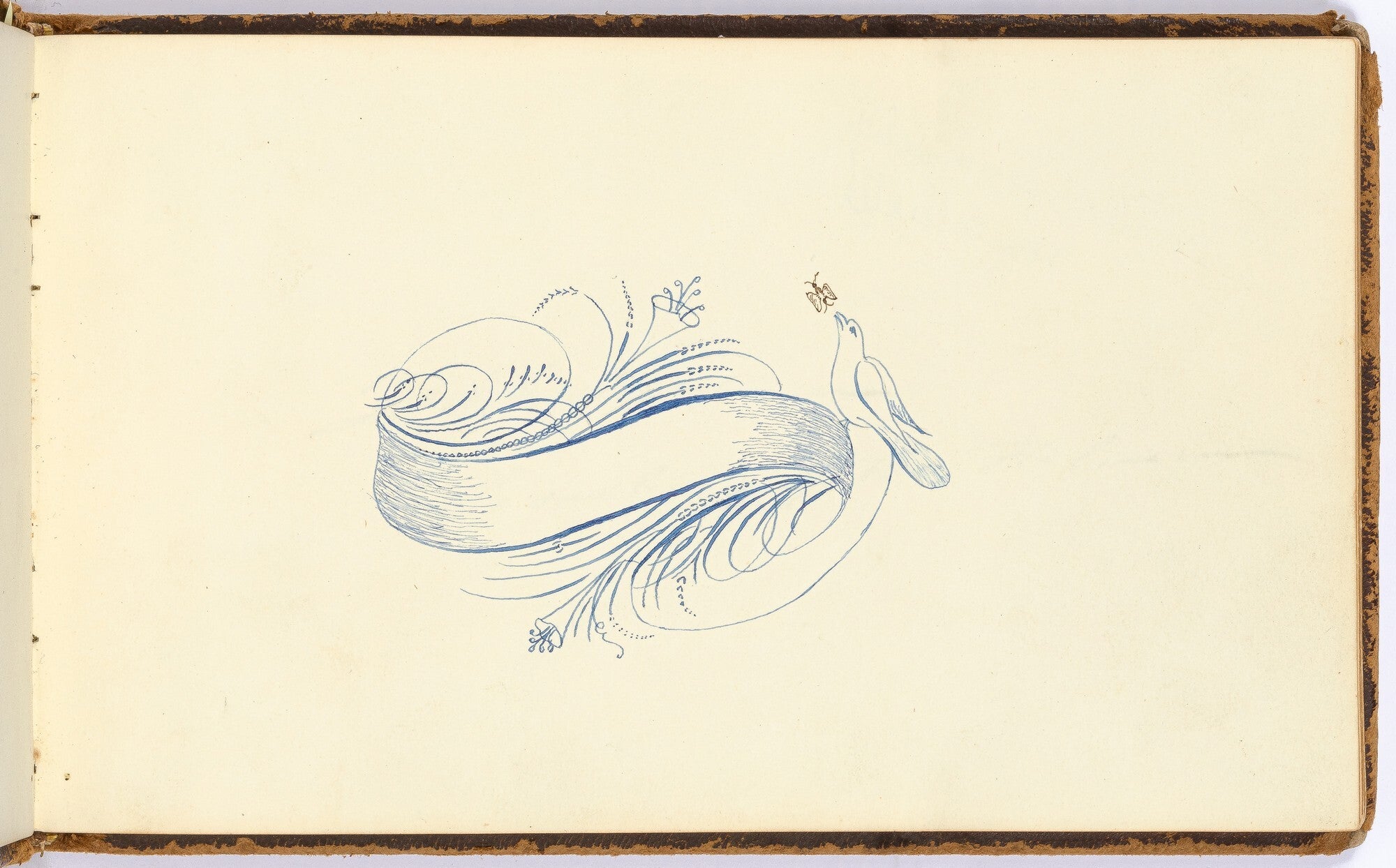 Autograph Album featuring National Woman Suffrage Association Officers ...